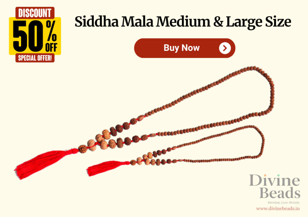 Divine Beads – Official Store for Original Rudraksha & Malas